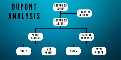 Unlocking Insights Into ROE And Profitability