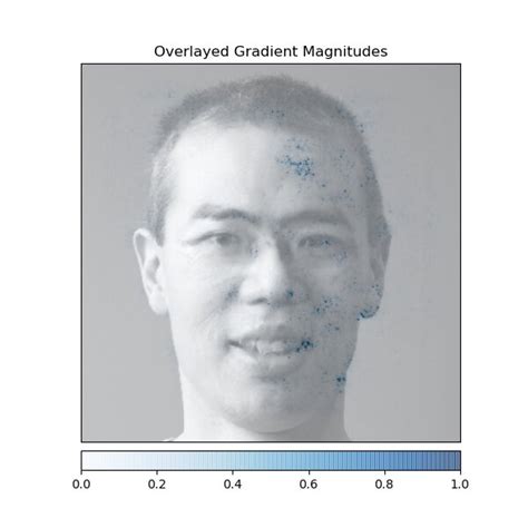 Examples Of Face Swaps Created Using Simswap And Sberswap Download