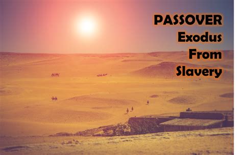 Passover Exodus To Freedom What Will Matter