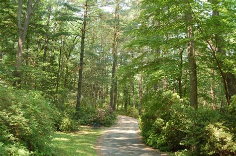 Scudder Preserve — Mcf