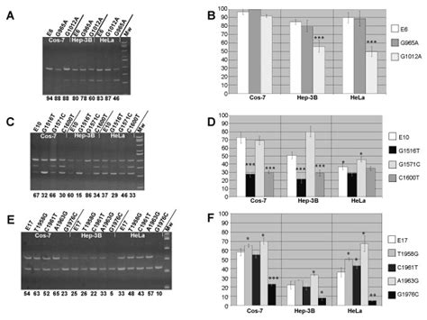 In Silico And In Vivo Splicing Analysis Of Mlh1 And Msh2 Missense