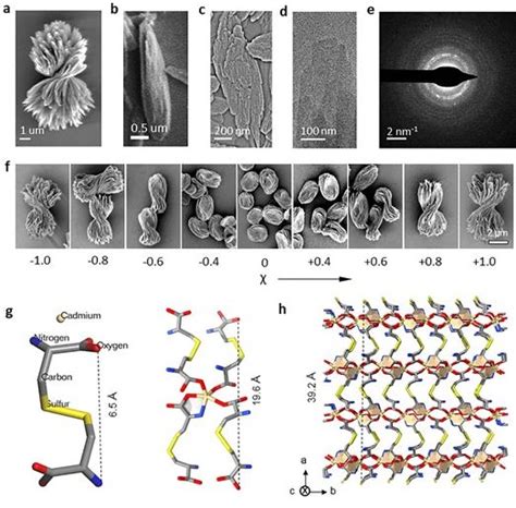 Publications 2023 Kotov Lab