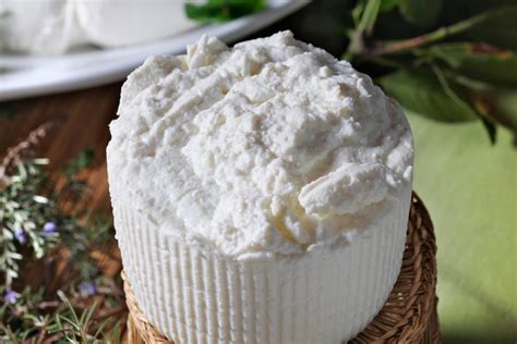 La Ricotta Fa Ingrassare Scopri Come Introdurre Questo Alimento Nella