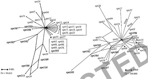 Split Decomposition Analysis The Effect Of Recombination On