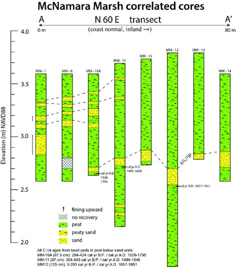 Stratigraphic Correlation Of Core Logs Along A Coast Normal Transect