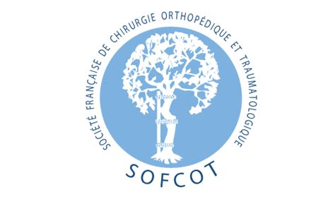 Damage Control En Traumatologie Avec Afflux Massif De Victimes Sofcot