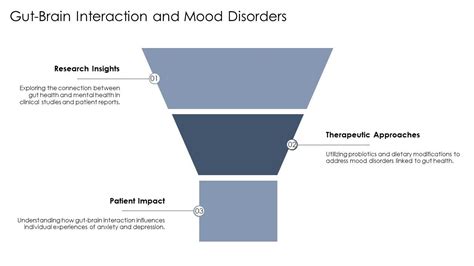Exploring Gut Brain Interaction The Mind Body Connection Ppt Sample St