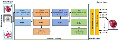 Proposed Cnn Architecture Low Level Features Such As Edges Are Normally