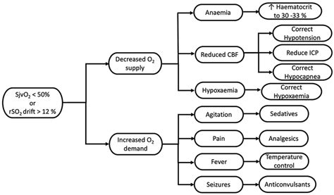 Algorithm Describing The Approach To Perioperative Cerebral