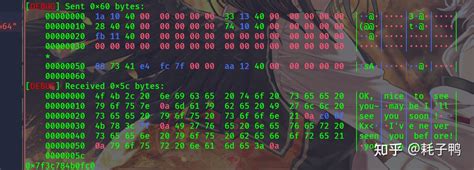 NewStarCtf 2023 stack migration write up 知乎