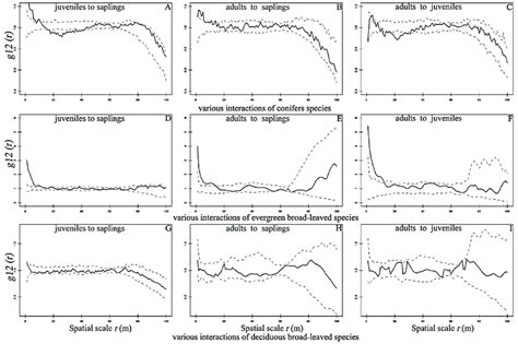 Spatial Relationships Between Broad Leaved Species Deciduous And Download Scientific Diagram