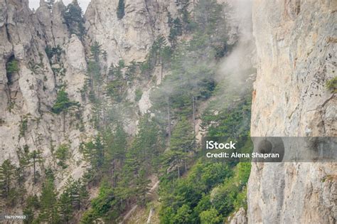 안개 에 아이 페트리 산 높은 산 크리미아 러시아어 산입니다 낮은 구름 아름다운 산의 풍경 크림 반도에서 가장 높은 지점 중 하나인 구름 안개로 부분적으로 덮인 유명한 Ai