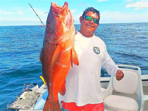 80 Pound Yellowfin Tuna And Breeding Season Vallarta Mirror