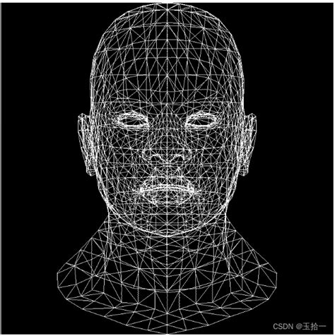 【tinyrenderer】github项目——迷你渲染器（1）tinyrenderer Github Csdn博客