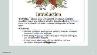 NetSuite Data Mining And Reporting PPT