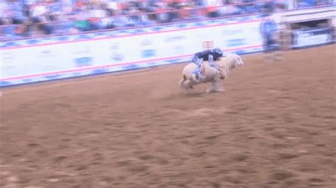 San Antonio Stock Show And Rodeo Mutton Bustin Registration Begins