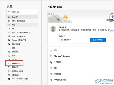 edge浏览器如何禁止f12打击开发者选项？ edge浏览器取消按下f12打开开发者模式的方法 极光下载站