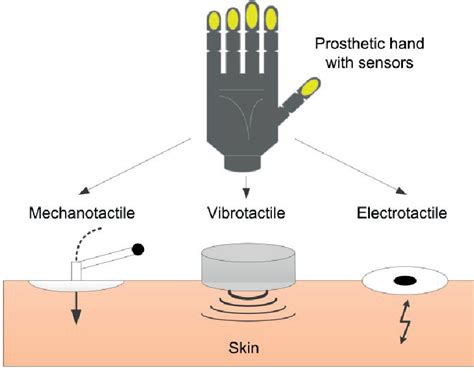 Figure From Prosthetic Control And Sensory Feedback For Upper Limb Amputees Semantic Scholar