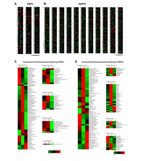 Identification And Functional Enrichment Based Clustering Analyses Of Download Scientific