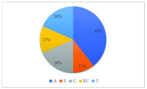 Additional Parameters Evaluated In The Experiments A Age E Driving