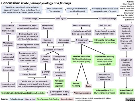 Concussion Acute Pathophysiology And Findings Calgary Guide