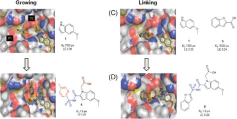 fragment growing versus fragment linking strategy designed for m