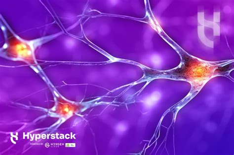 how smart microscopy improves neuroscience hyperstack posted on the