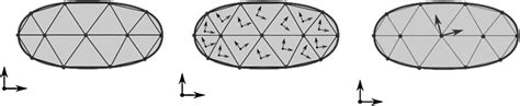 Graphical Representation Of A Single Flexible Body Using Three