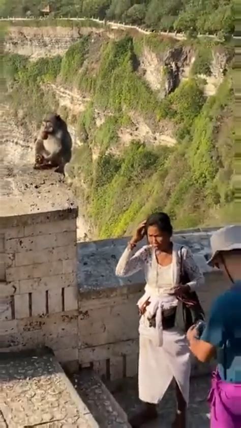 Tourist Gets Extorted By Local Punk Rpeoplefuckingdying