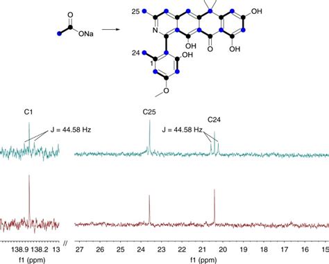 A Role For Antibiotic Biosynthesis Monooxygenase Domain Proteins In Fidelity Control During