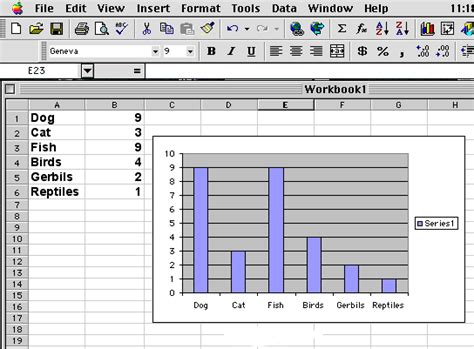 Making A Column Chart