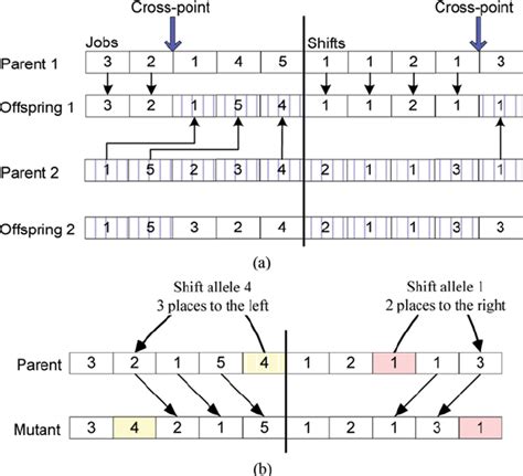 Variation Operators A One Point Crossover B Shift Mutation