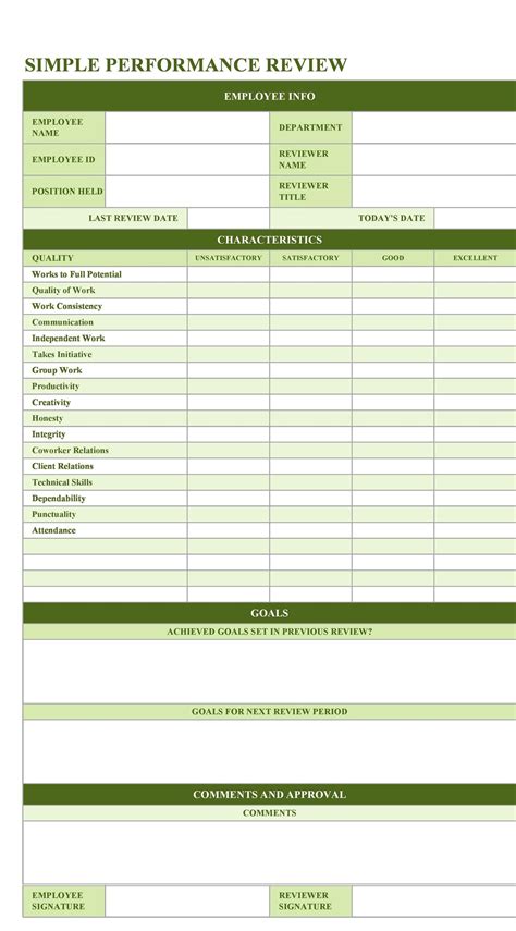 Healthcare Performance Review Template