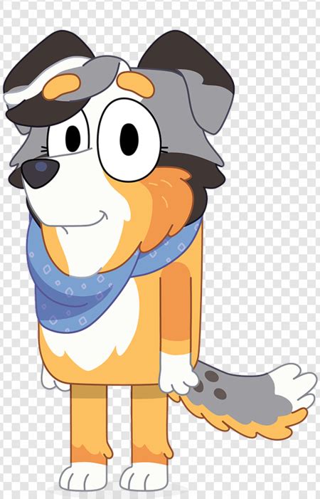 Bluey Winton Png Transparent Images