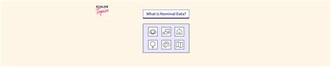 Nominal Data Definition Characteristics And Examples Scaler Topics