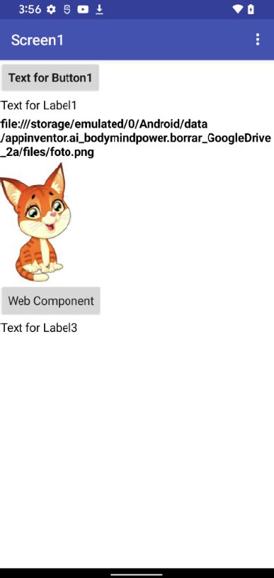 Discontinued Extension To Download A File To Asd App Specific Directory Without Write