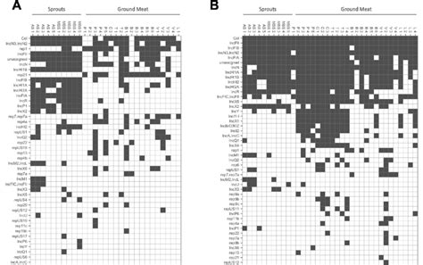 Plasmid Replicon Targets Detected From Retail Food Commodity Samples Download Scientific