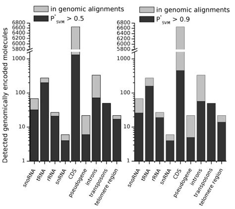 Known Rna Genes In The Yeast Genome Covered By Predicted Rna