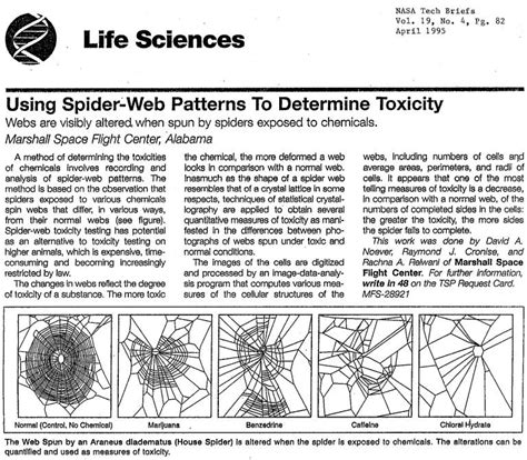 Weekend Diversion Spider Webs On Drugs Starts With A Bang Medium