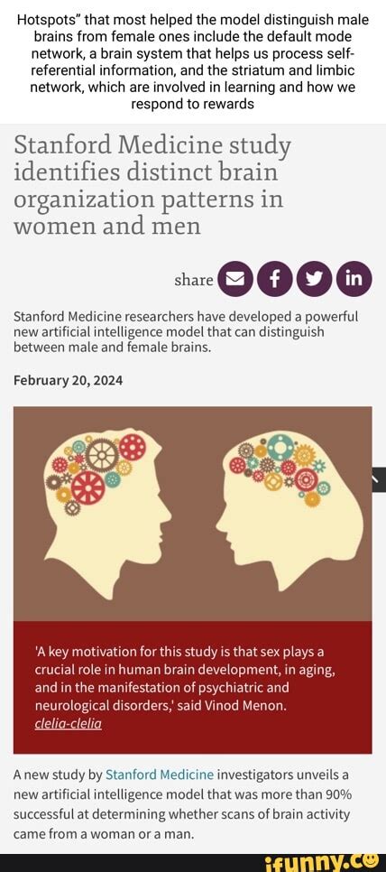 Hotspots That Most Helped The Model Distinguish Male Brains From Female Ones Include The