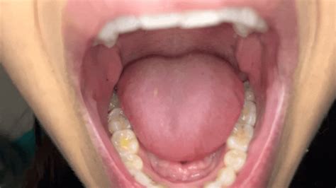 Sensual Giantess Vore Tease Pov With Jen Capone Hd 1080p Mp4 Ginarys Giantess Adventures