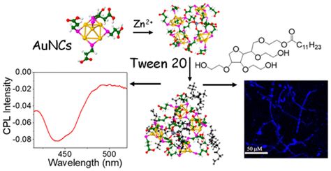 Excitation Dependent Fluorescence With Excitation Selective Circularly Polarized Luminescence