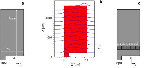 Basic Structure Of Multimode Interference Devices A Beam Propagation