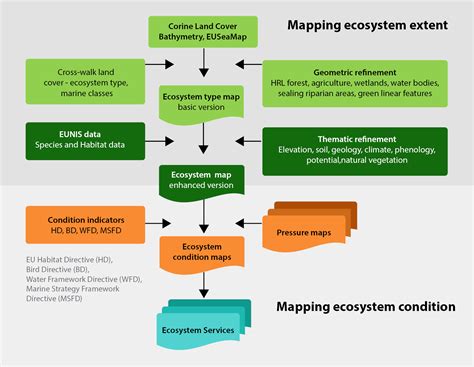 ecosystem concept map