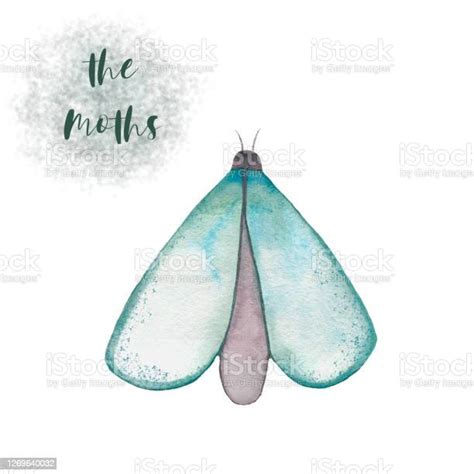 푸른 나방 나비의 수채화 그림 수채화와 함께 손으로 그려져 있으며 모든 유형의 디자인 및 인쇄에 적합합니다 0명에 대한 스톡 벡터 아트 및 기타 이미지 Istock