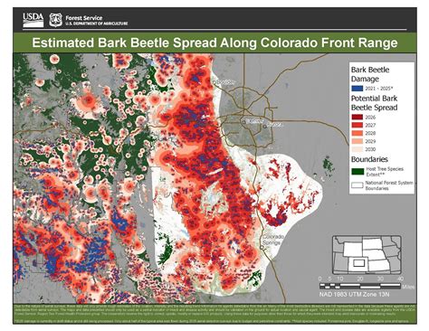 Pine Beetles Take Aim At Forests Along Colorados Front Range