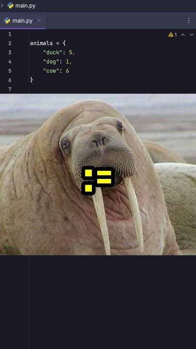 Learn New Clever Python Syntax Improve Your Python Skills Python