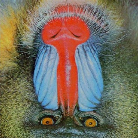 Texture Mapping Using A Naive Non Constrained Surface Parameterization