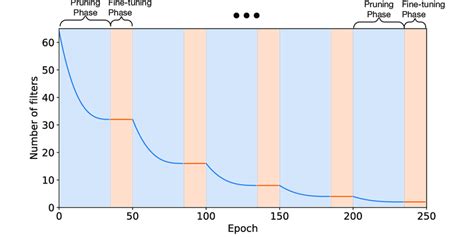 Pruning Schedule Profile Download Scientific Diagram