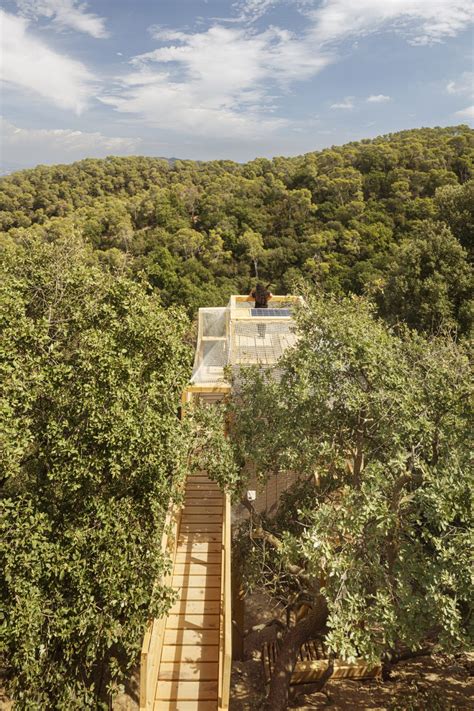 Flora Is A Mass Timber Research Pavilion In Barcelonas Forest Canopy